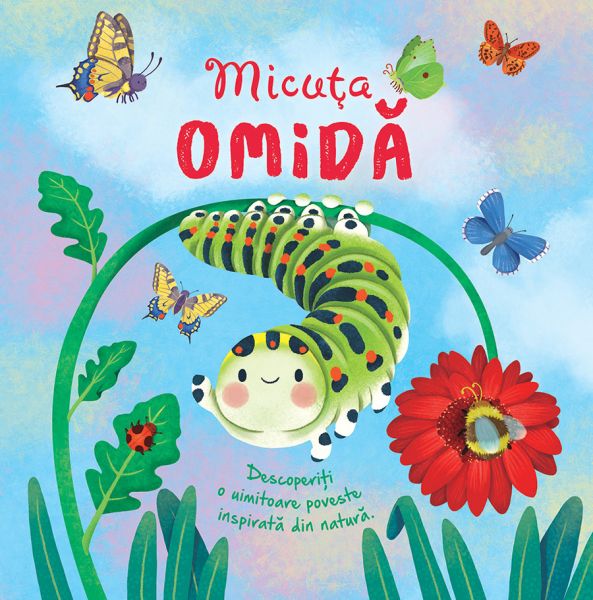 Micuta omida